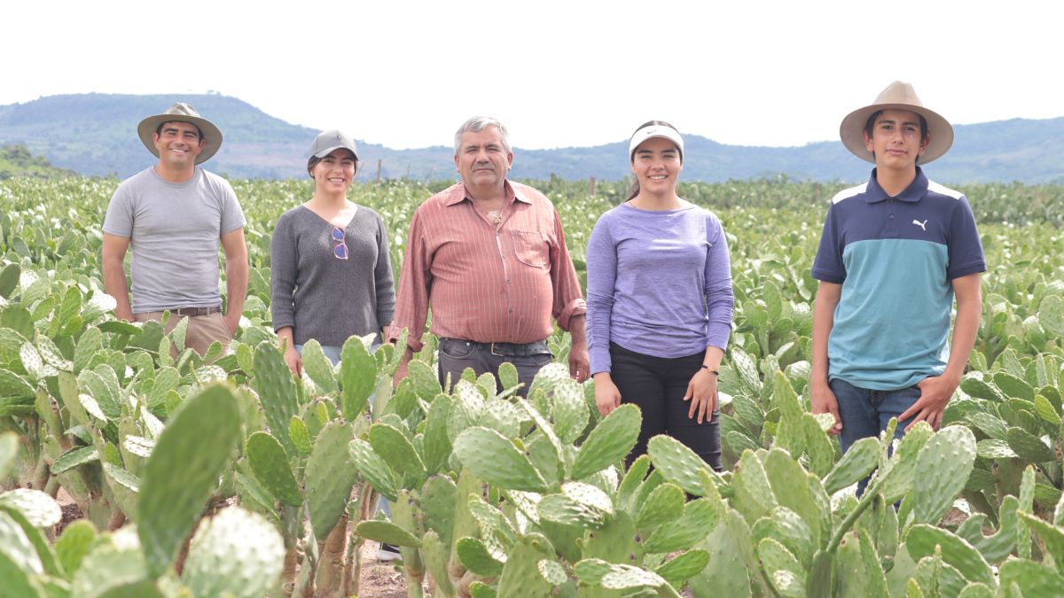 La Historia del Principal Proveedor de nopal en México: El Legado Verde ...